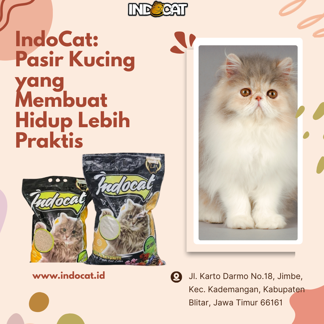 IndoCat: Pasir Kucing yang Membuat Hidup Lebih Praktis – Indocat.id